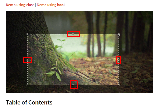 How to increase side cropping corners 4 to 8 · Issue #356 · dominictobias/react-image-crop · GitHub