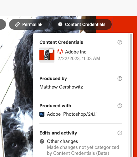 Info Tooltips are not working on Safari · Issue #92 · contentauth/c2pa-js · GitHub