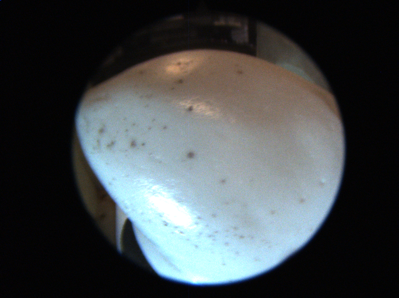 Implement masking of images in feature extraction · Issue #208 · colmap/colmap · GitHub