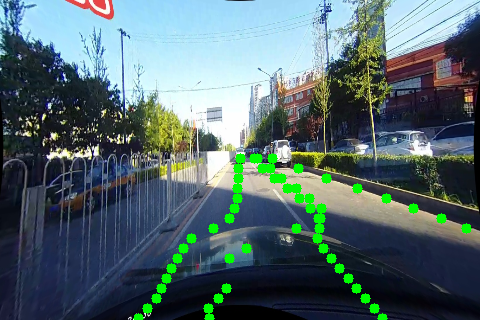 bent output for different input size · Issue #246 · cfzd/Ultra-Fast-Lane-Detection · GitHub
