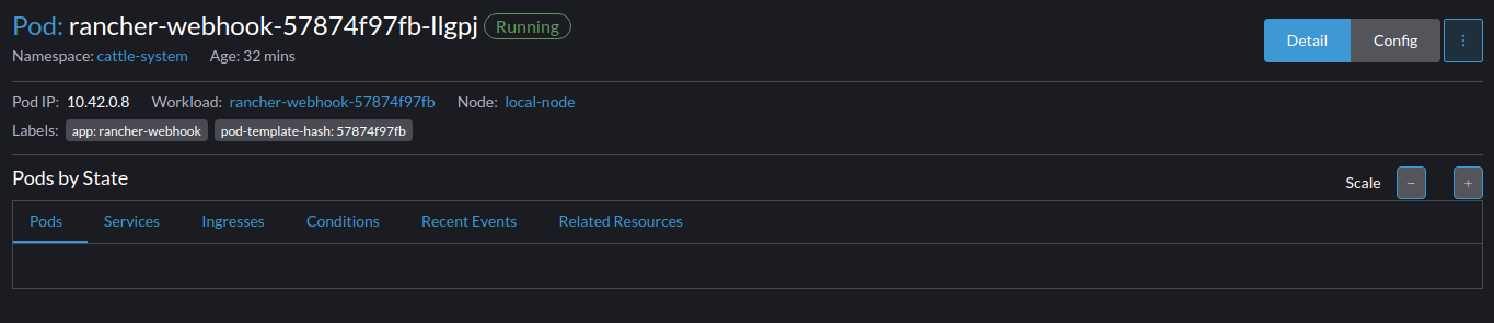 Detail page for Pods uses detail page for Workloads · Issue #6842 · rancher/dashboard · GitHub