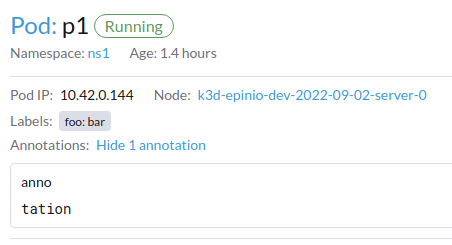 Unable to view or assign Pod labels or annotations in Edit context · Issue #7094 · rancher ...