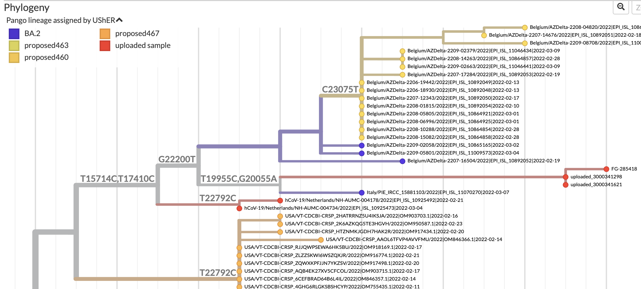 Potential BA.1/BA.2 Recombinant Lineage with Likely Breakpoint at NSP16 ...