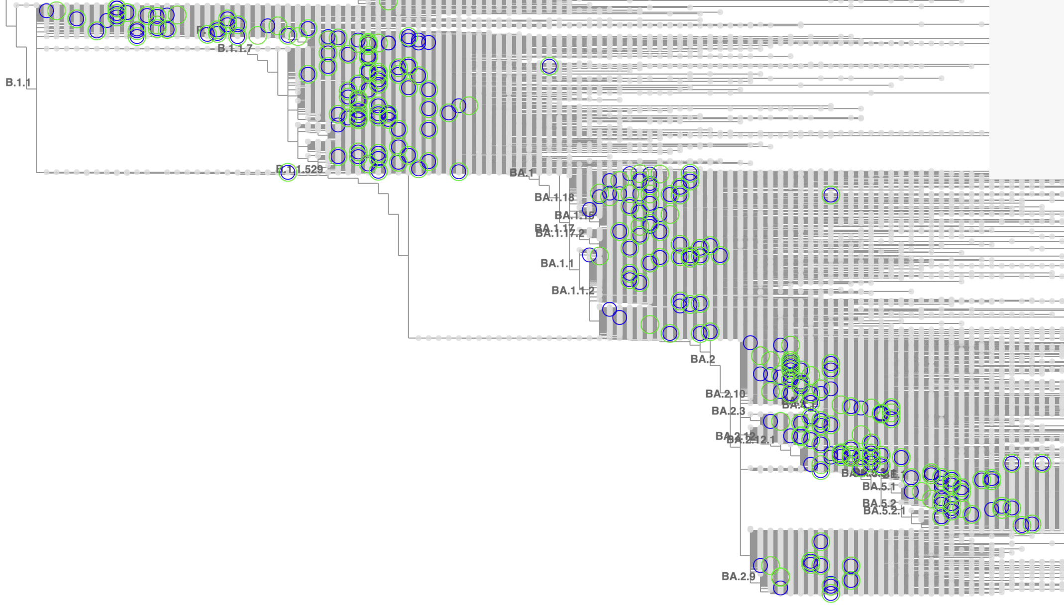 Plain BA.2 with S:L452M (676 seq. mostly Japan) · Issue #988 · cov-lineages/pango-designation ...