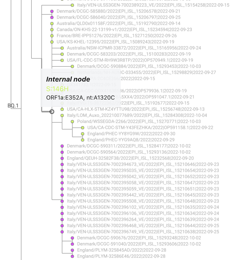BQ.1 sublineage with S:H146L and Orf1a:E352A spreading in Italy (31 Sequences) · Issue #1189 ...