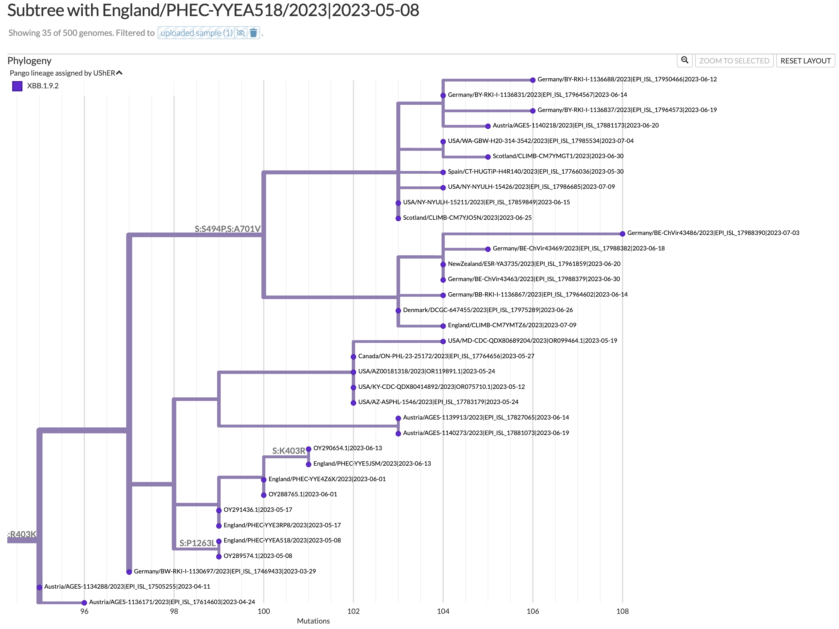 XBB.1.9.2 with S:A344T and S:R403K (36 seqs) with a further sublineage ...