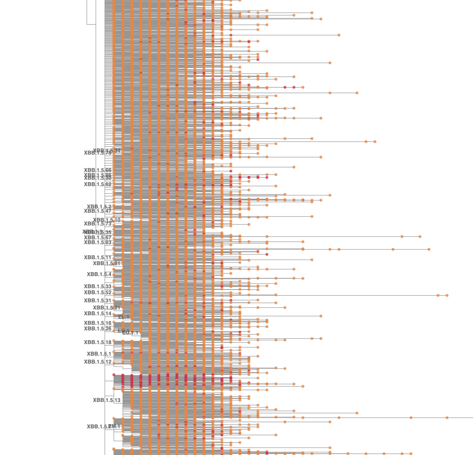 XBB.1.5 sublineage with S:H146K (442 sequences from USA [Northeast USA ...