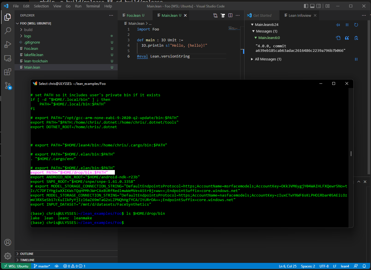 Server doesn't start without elan · Issue #164 · leanprover/vscode-lean4 · GitHub