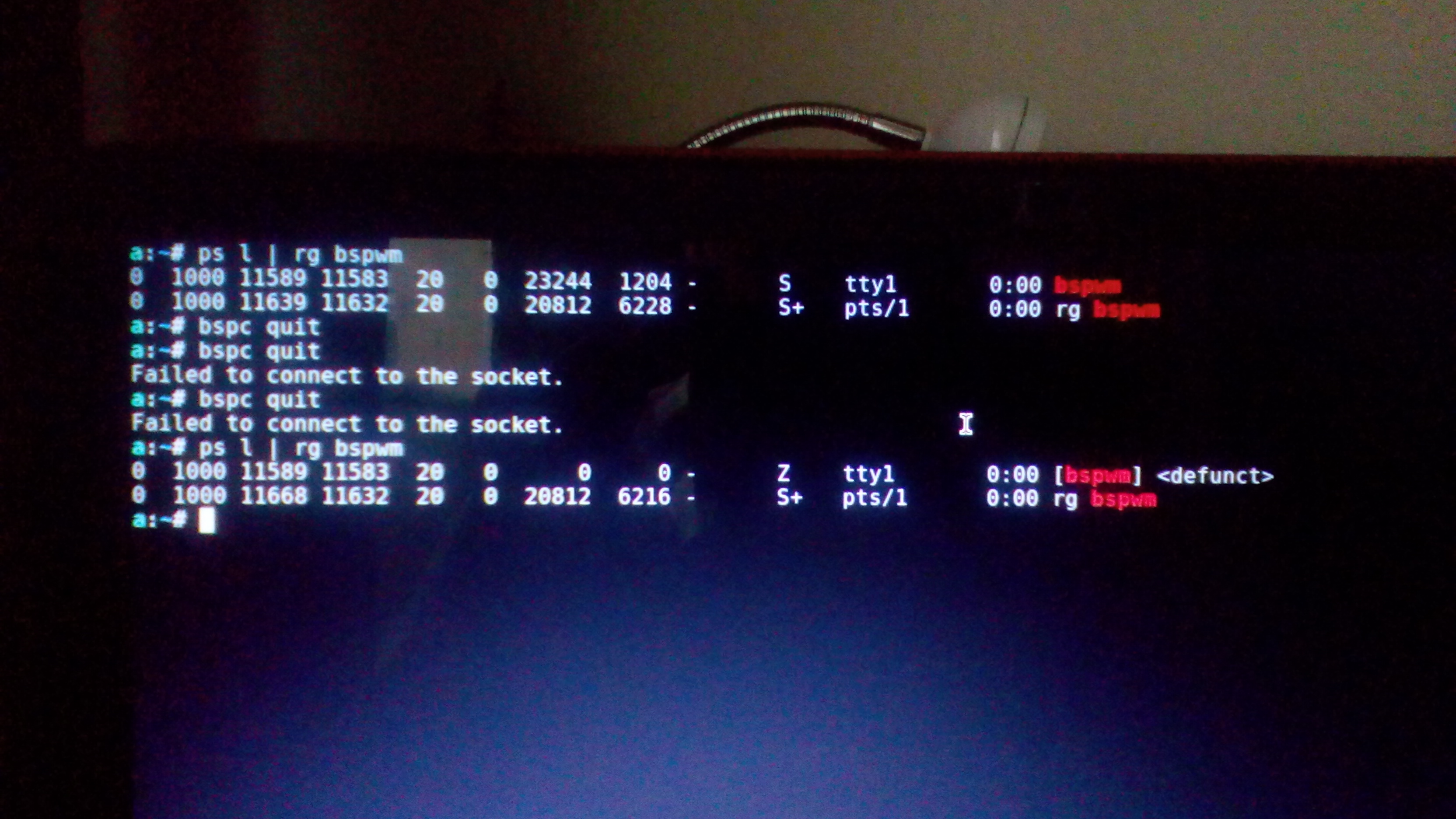 `bspc quit` doesn't do anything · Issue #834 · baskerville/bspwm · GitHub