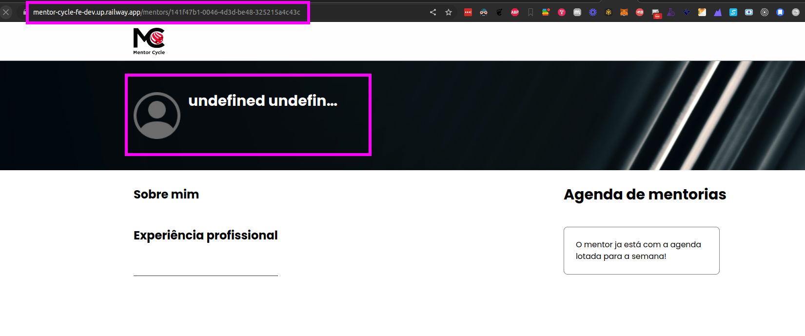 Undefined na página /mentors · Issue #137 · Mentor-Cycle/mentor-cycle-fe · GitHub
