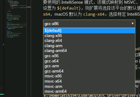semantic analysis error · Issue #5891 · microsoft/vscode-cpptools · GitHub