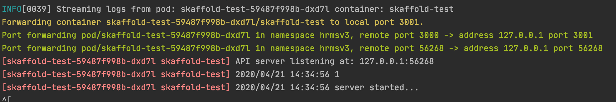 Unable To Run With Cloud Code Kubernetes · Issue 2747