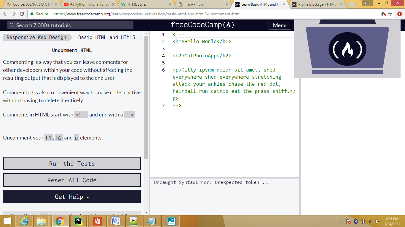 User profile icon blocks other elements in the navbar · Issue #42861 · freeCodeCamp/freeCodeCamp ...