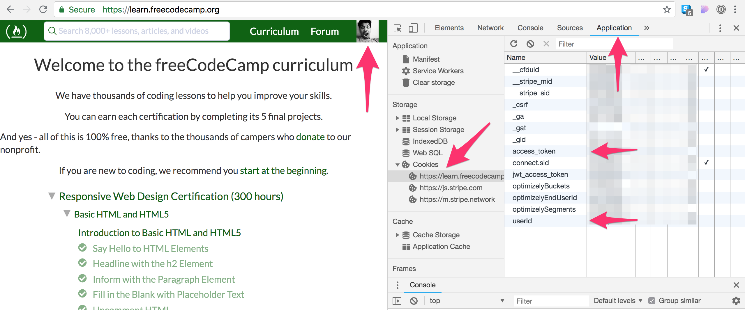 learn doesn't retain login data from www · Issue #17565 · freeCodeCamp/freeCodeCamp · GitHub
