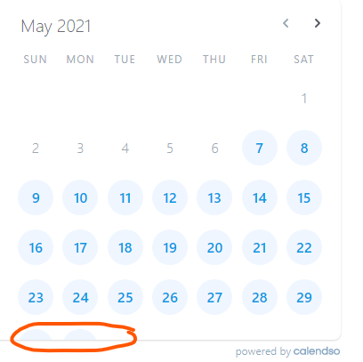 Calendar UI Bug · Issue #168 · calcom/cal.com · GitHub
