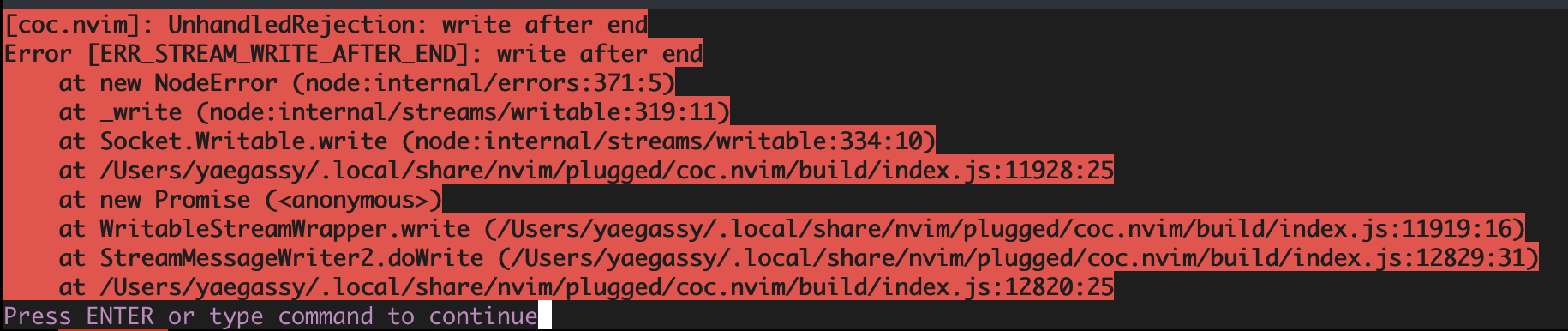 "await client.stop()" outputs an error. · Issue #3812 · neoclide/coc.nvim · GitHub