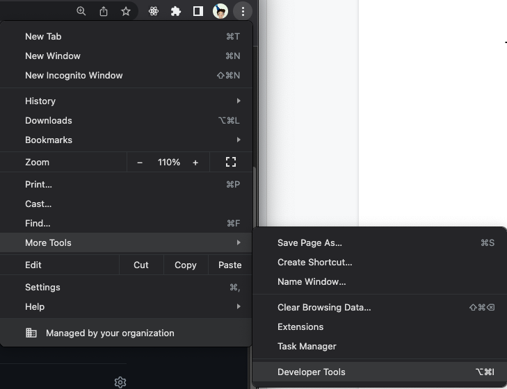 Black window · Issue #603 · facebook/Rapid · GitHub