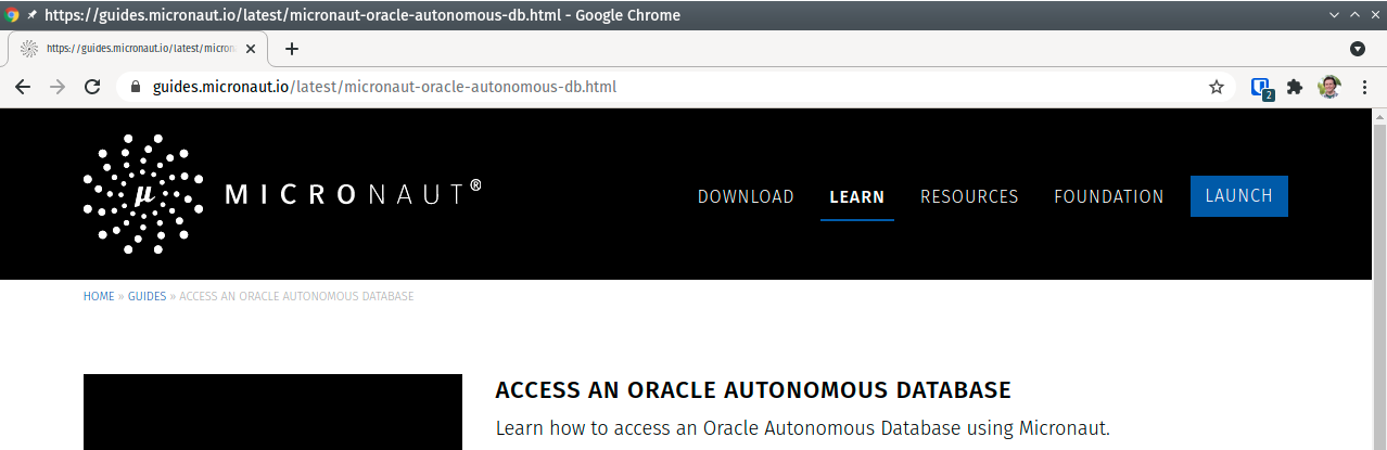 Index page for a guide does not have a title · Issue #266 · micronaut-projects/micronaut-guides ...