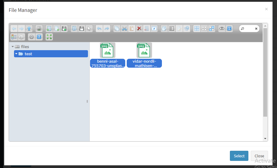 Retrieve Selected files on button click · Issue #2629 · Studio-42/elFinder · GitHub