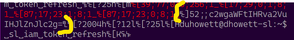 Incorrect content copied from terminal (Japanese Toothpaste?) · Issue ...