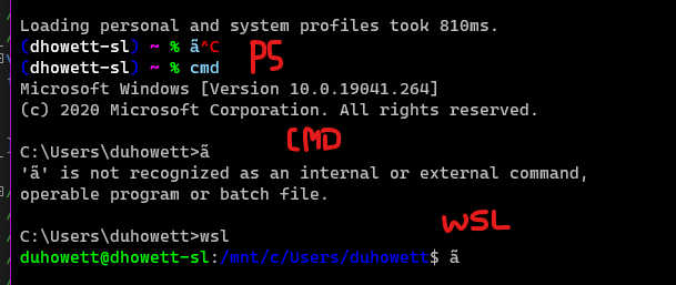 Tilde Isnt Appearing When Paired With A Or A Same Chars With Cascadia Code Are Ok On Notepad 