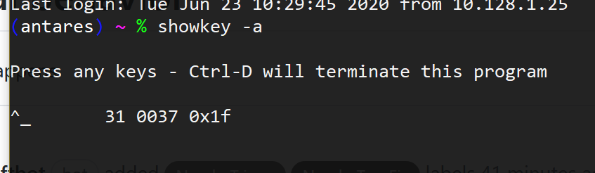 On Vim Cannot Interpret As C · Issue 6643 · Microsoftterminal · Github 