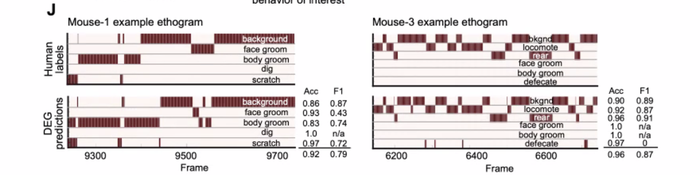 How to calculate the F1 and accuracy from the predicted results as per paper? · Issue #27 ...