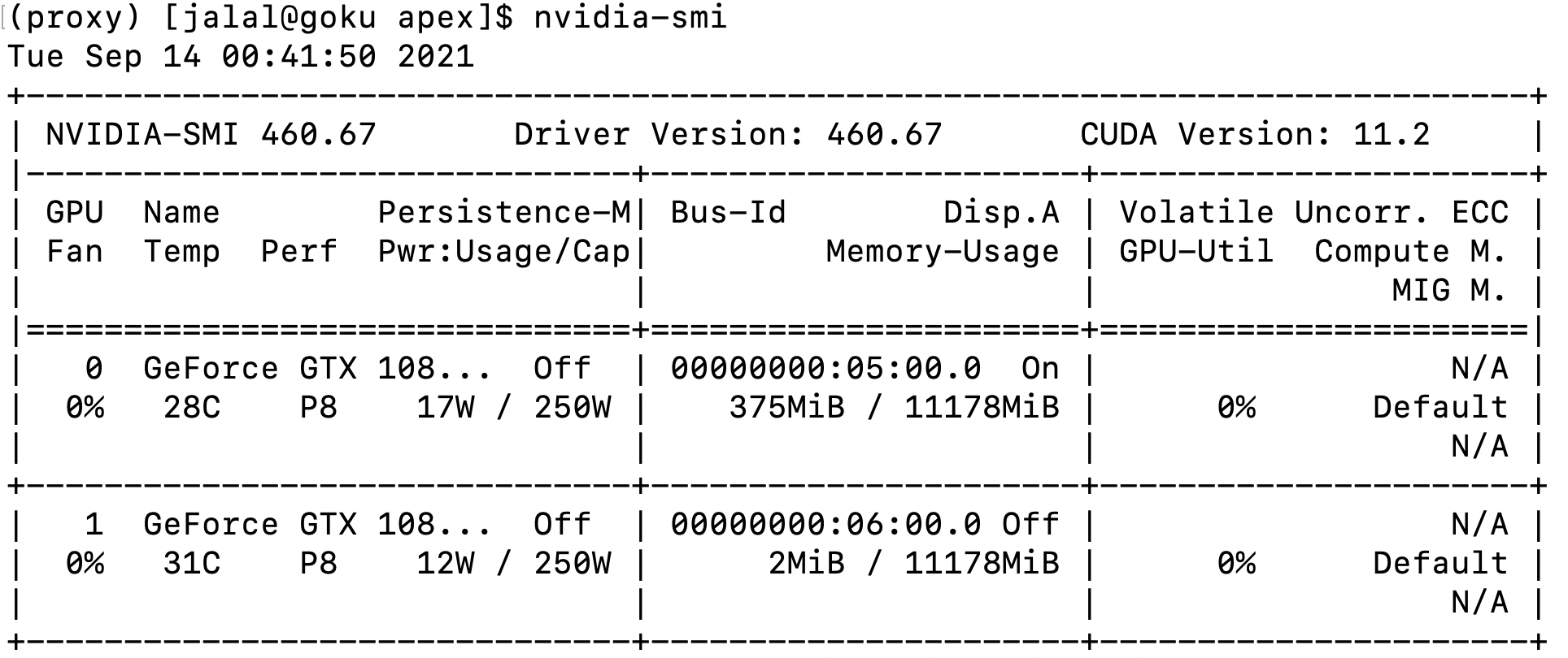 Double Post From Stackoverflow How To Get Apex Work For Pytorch 19 And Python 385 · Issue 3950