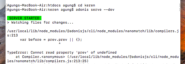 error running "adonis serve -dev" · Issue #902 · adonisjs/core · GitHub