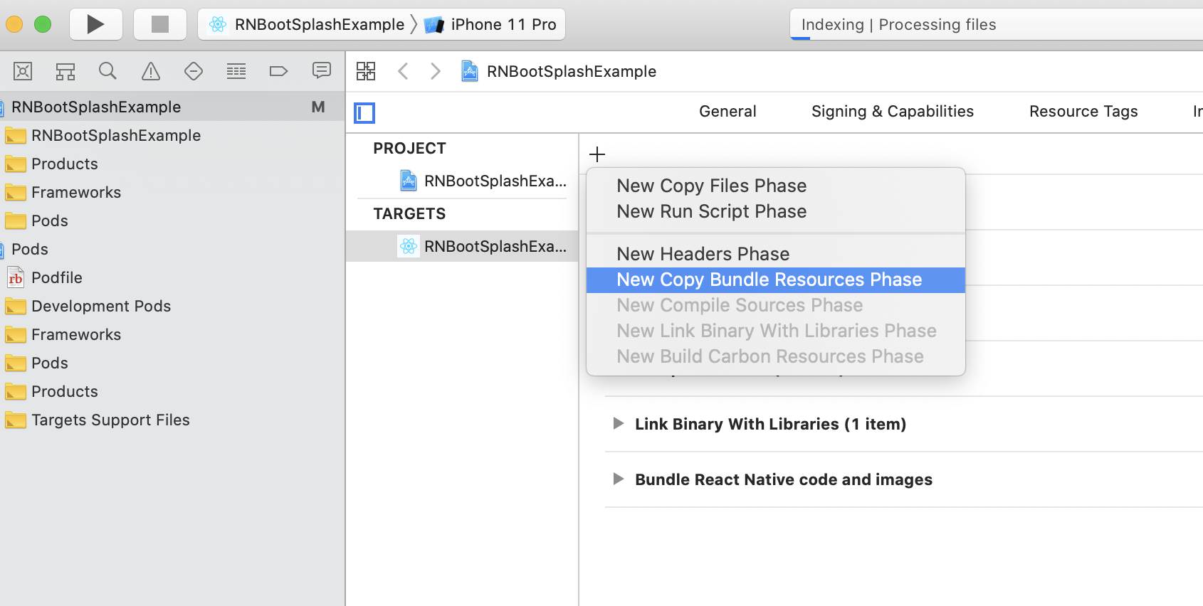 Could Not Find A Storyboard Named Bootsplash In Bundle Nsbundle