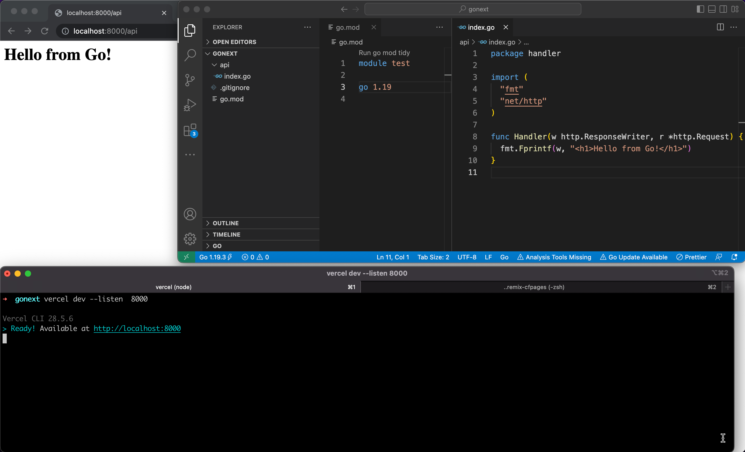 Error: Command not found: ./vercel-dev-server-go · vercel community · Discussion #1265 · GitHub