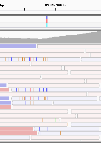 what about MAPQ = 0 · Issue #408 · freebayes/freebayes · GitHub