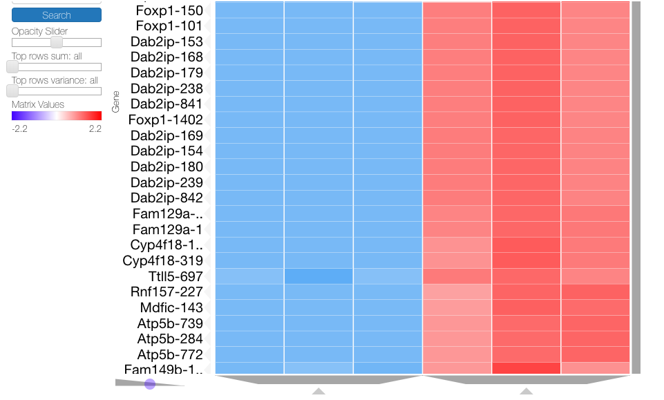 Clutergrammer Matrix · Issue #63 · MaayanLab/biojupies · GitHub