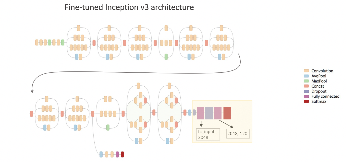 GitHub - luciaharley/pytorch-dog-classifier: Mixed-breed dog classifier using Pytorch.