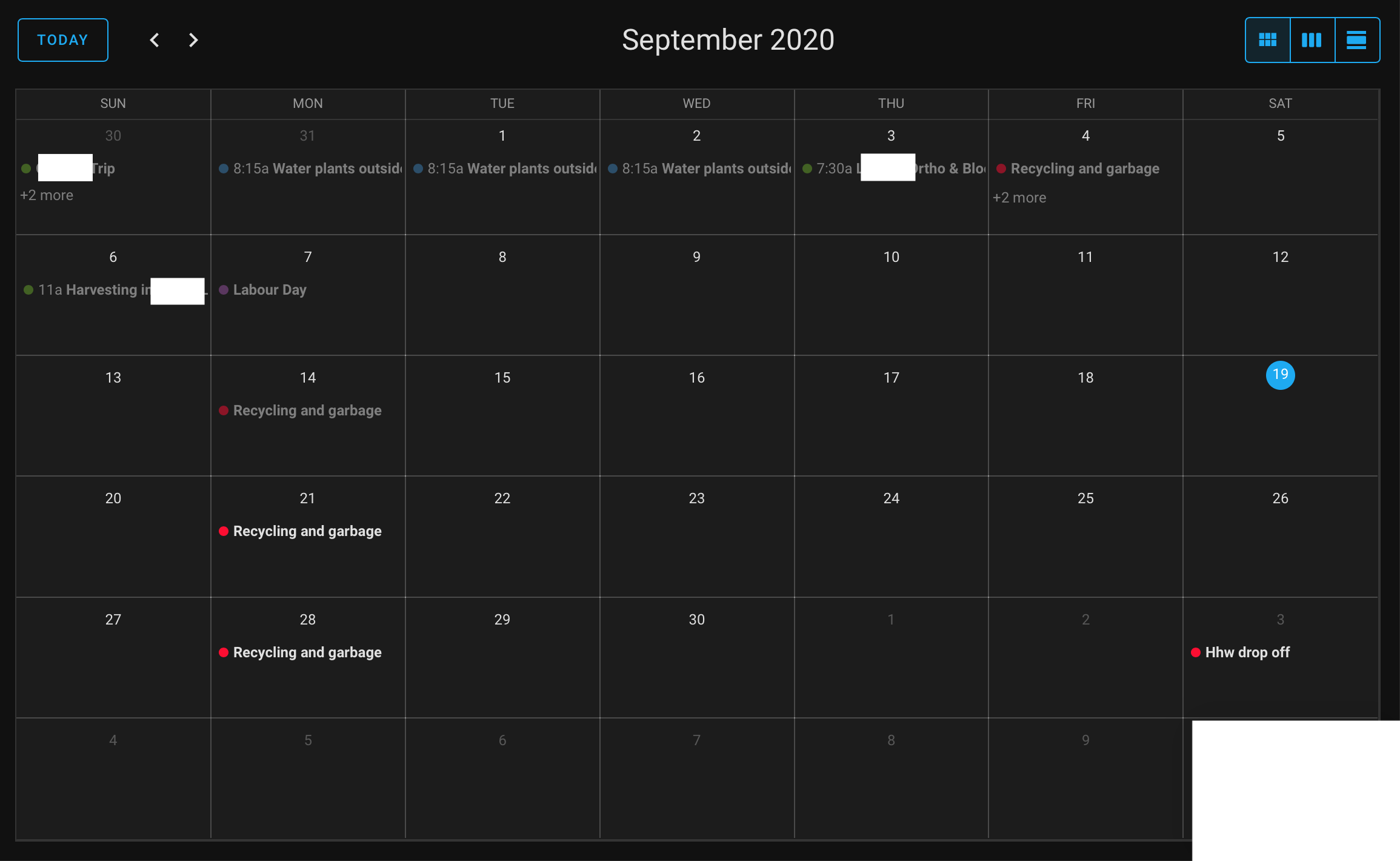Calendar: Events missing in Monthly view · Issue #7075 · home-assistant ...