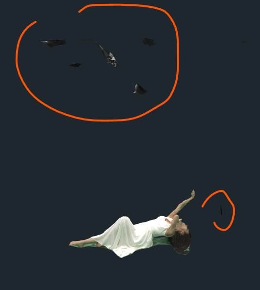 去背後的小雜點與地面處理 · Issue #93 · MoonShineVFX/4drec · GitHub