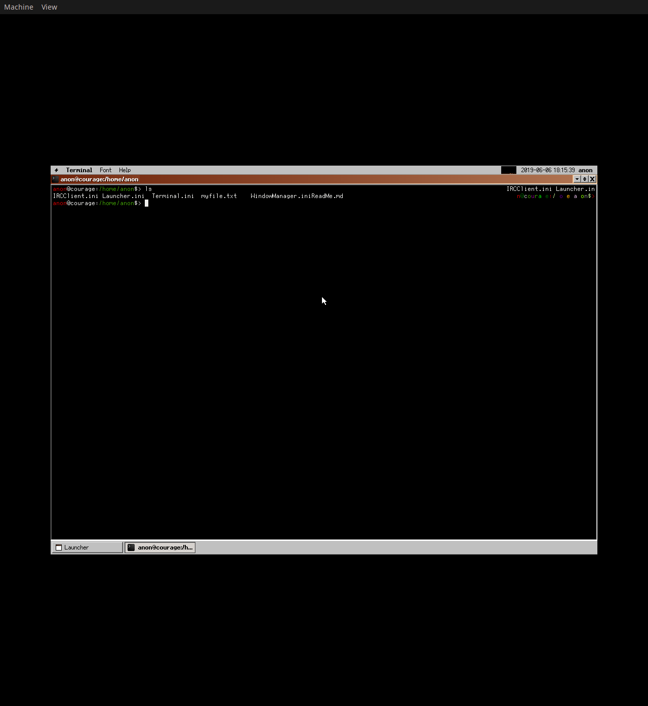 Terminal: Resizing does not change size of rows or columns: instead, duplicate lines show ...