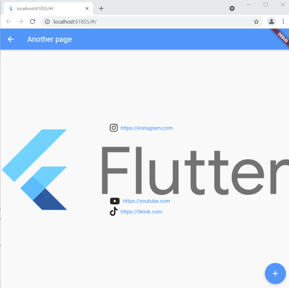 [web] [url_launcher] [canvaskit] Pushing New Routes with Links Crashes ...