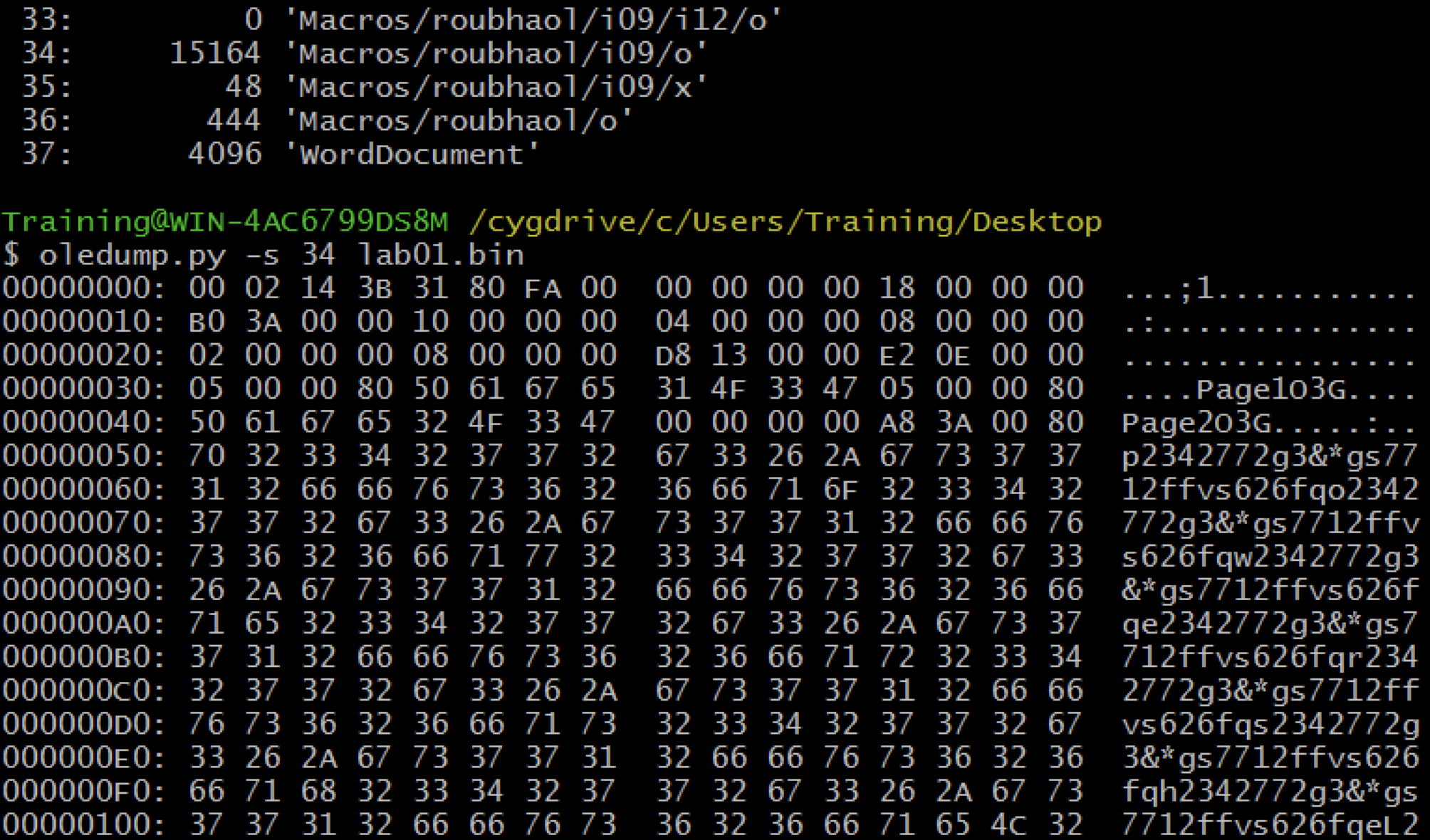 malware-samples/malware_analysis_exercises/2020/December/solution.md at ...