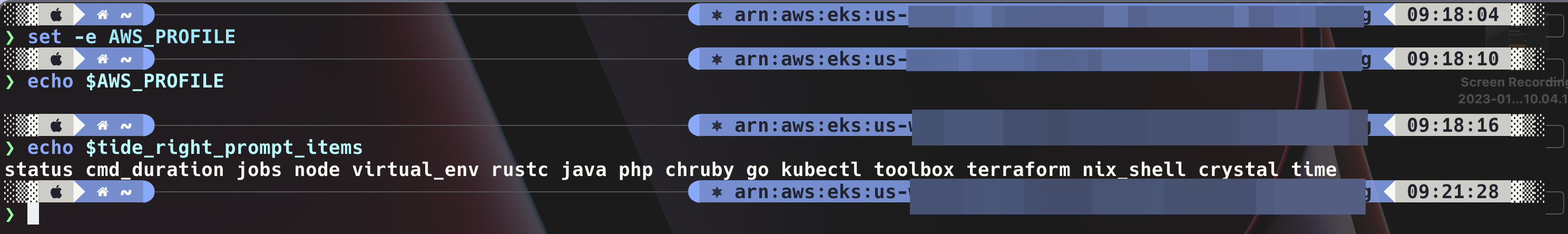 How to remove the aws profile context from right prompt ? · Issue #369 · IlanCosman/tide · GitHub