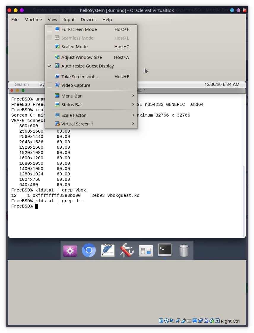 Shows a non-graphical console on a virtual machine · Issue #18 · helloSystem/ISO · GitHub