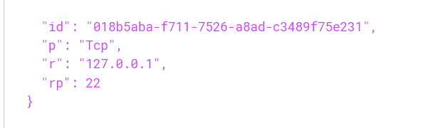 Obfuscate protocol, target and port in request url · Issue #169 · erebe/wstunnel · GitHub