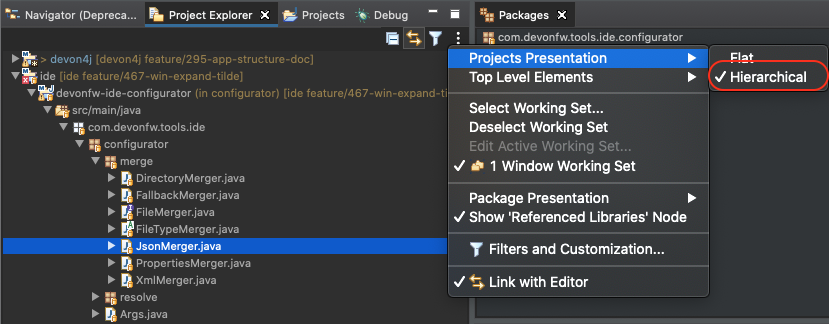 Preconfigure Project Explorer with Hierarchical Project Presentation ...