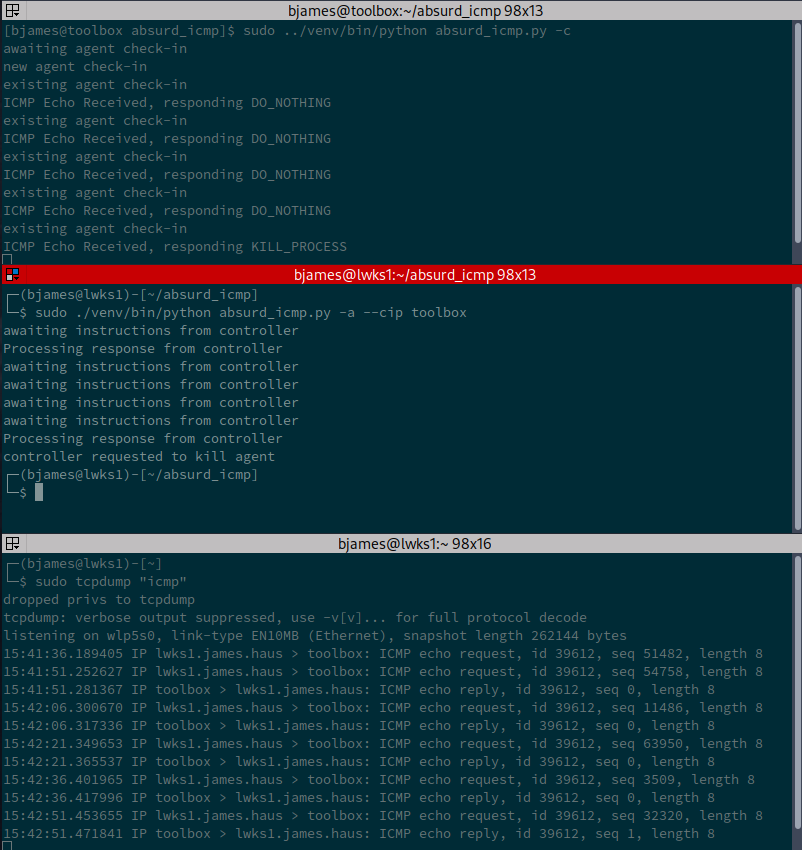 GitHub - bjames/absurd_icmp