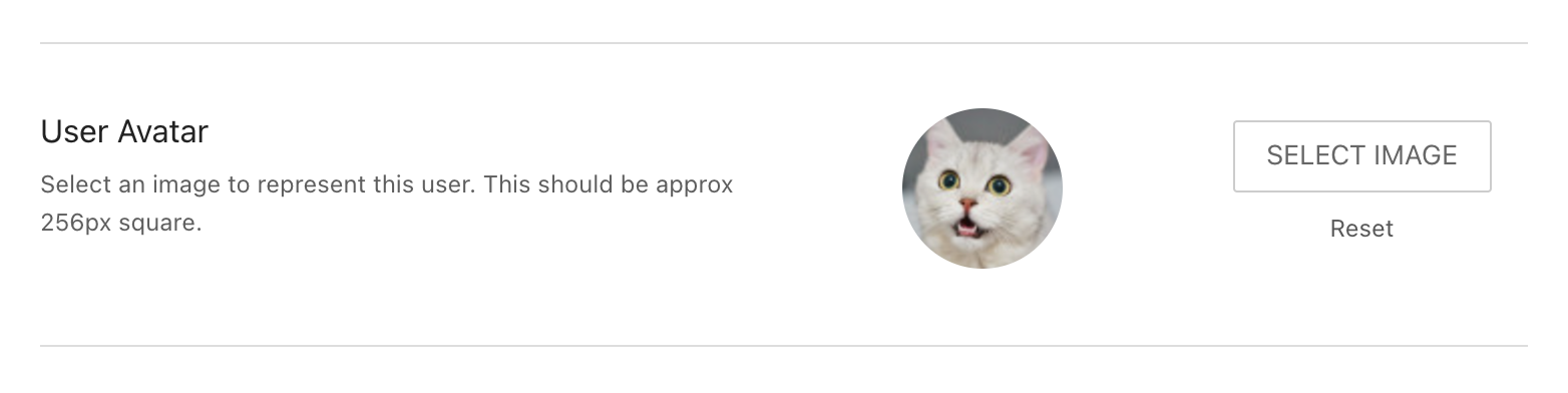 [Bug Report]: Profile avatar cannot update · Issue #3240 · BookStackApp/BookStack · GitHub