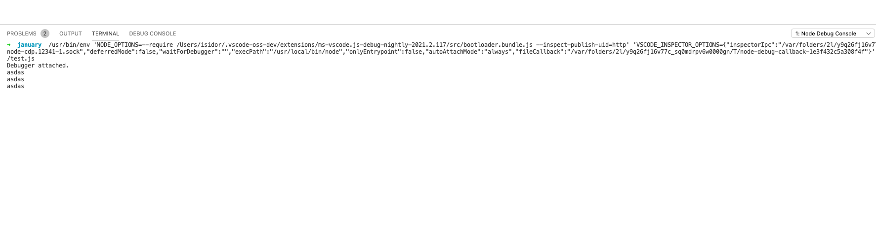 Debug Terminal not openning · Issue #116638 · microsoft/vscode · GitHub