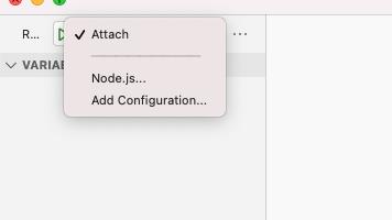 Launch config name shows up twice · Issue #122687 · microsoft/vscode ...