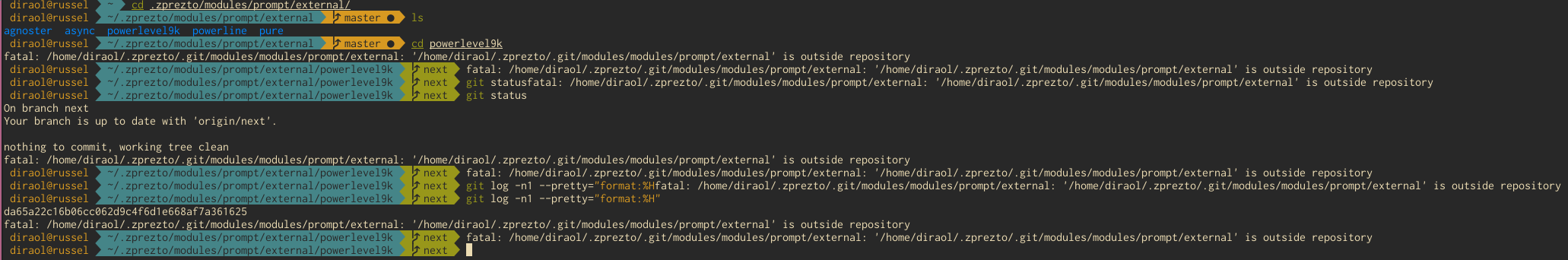 `fatal: '...' is outside repository` error when using "vcs" element, in a subdirectory · Issue ...