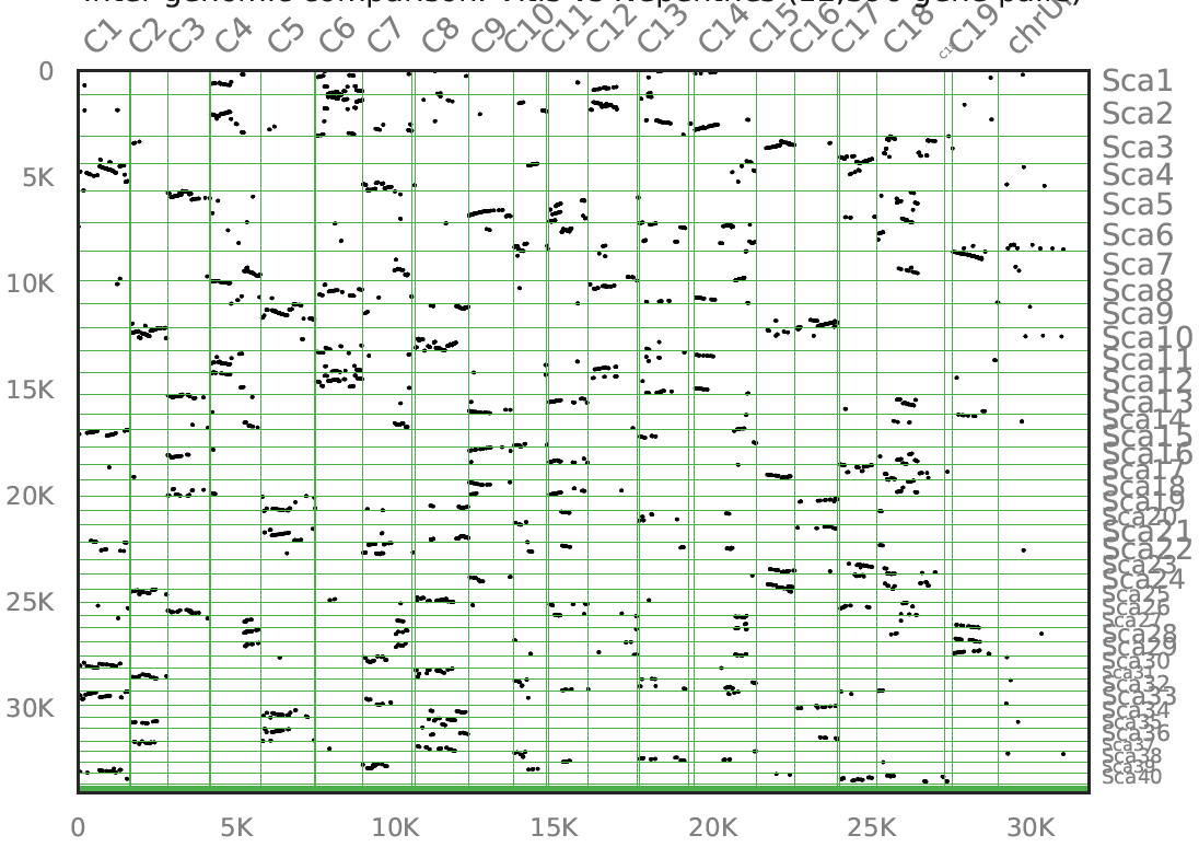 MCScan dotplot grid · Issue #507 · tanghaibao/jcvi · GitHub